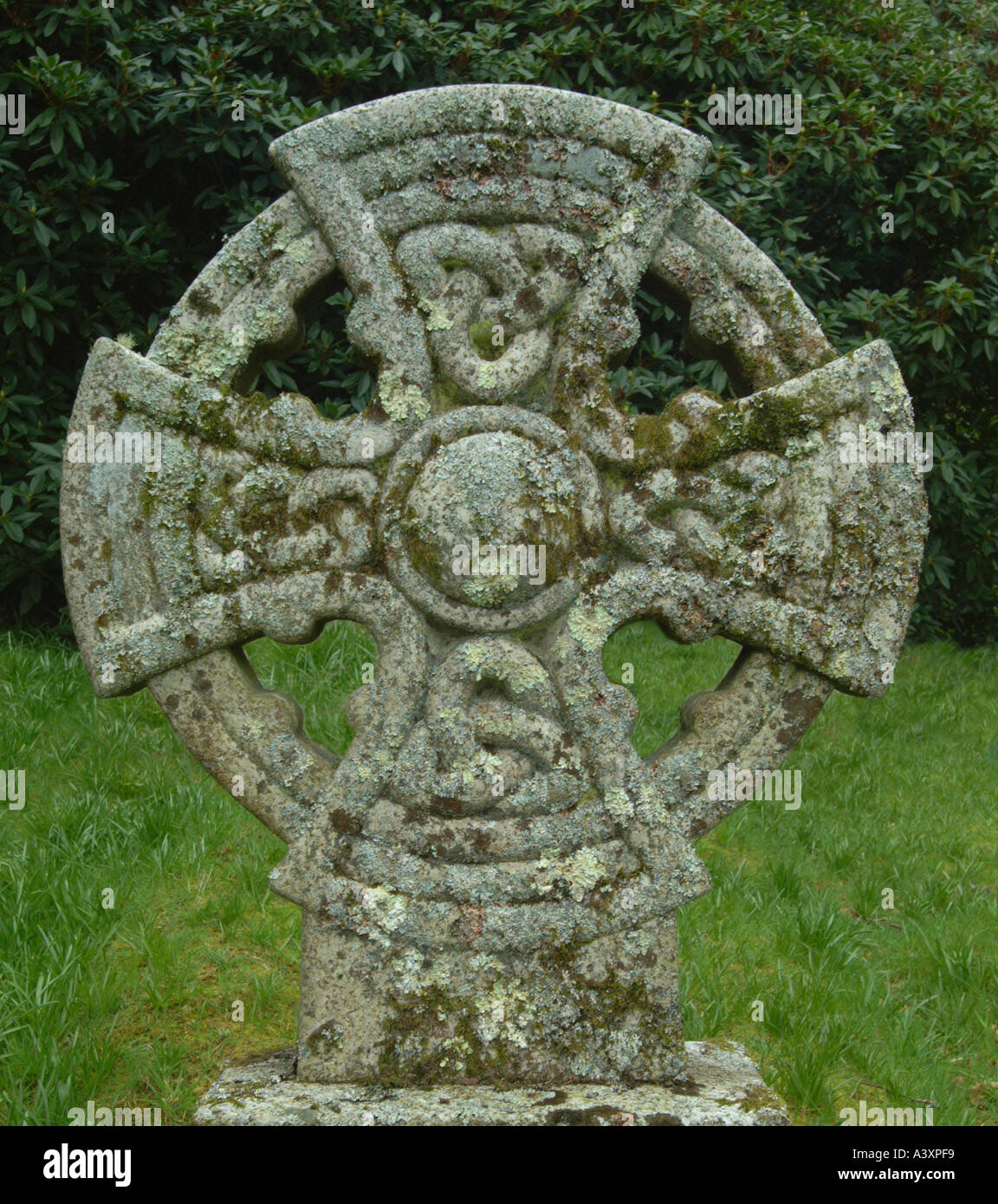 celtic cross in churchyard padstow cornwall Stock Photo - Alamy