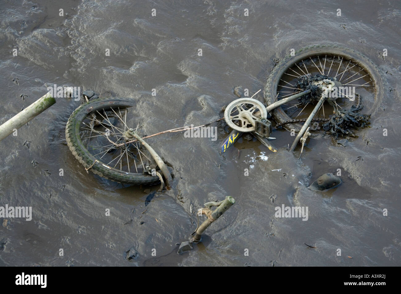 Bicycle dumped in trash hi-res stock photography and images - Alamy