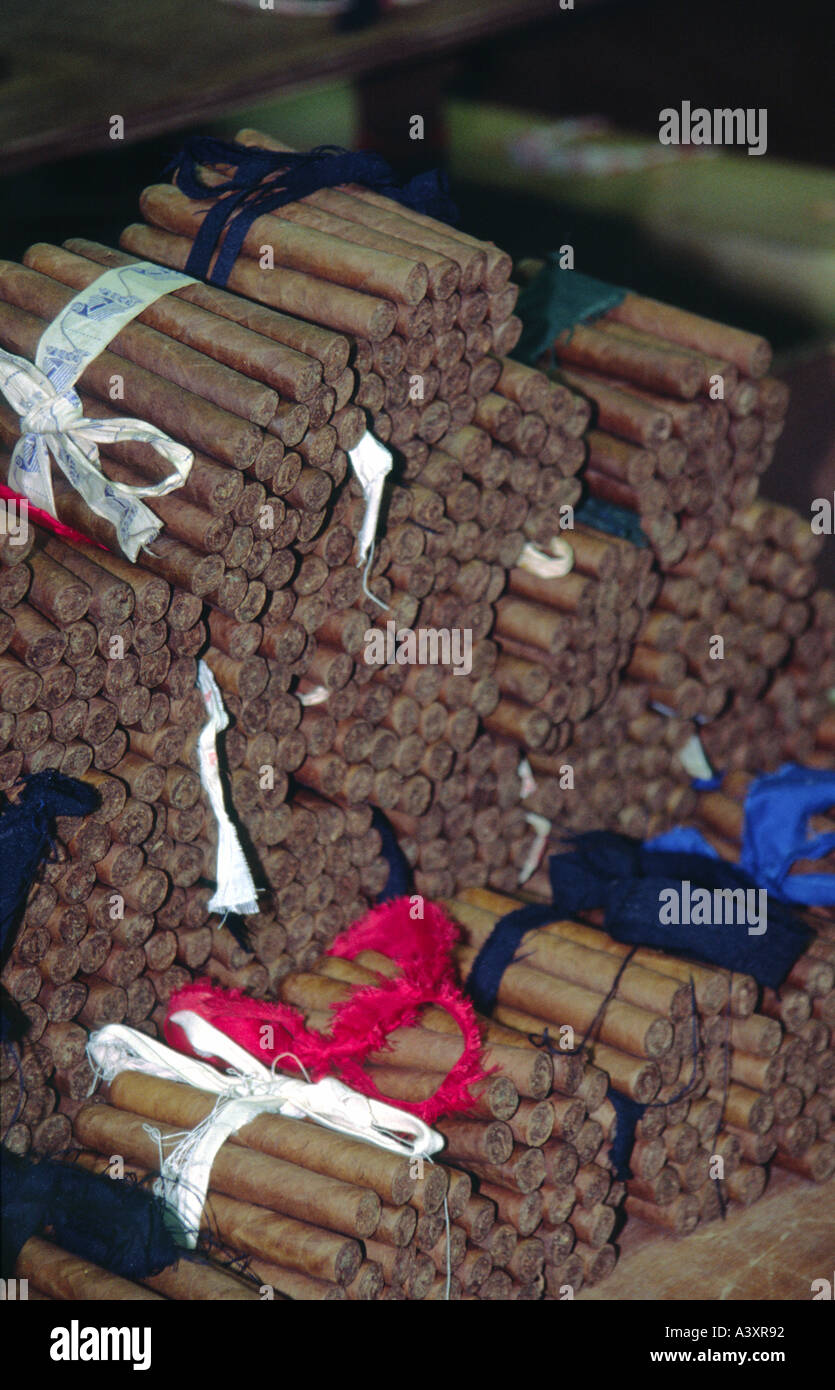 Bundles of Cigars Havana Cuba Stock Photo - Alamy