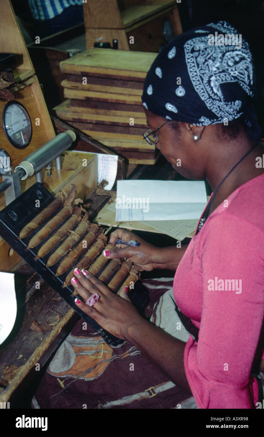 Partagas Cigar Factory in Havana Cuba Stock Photo - Alamy