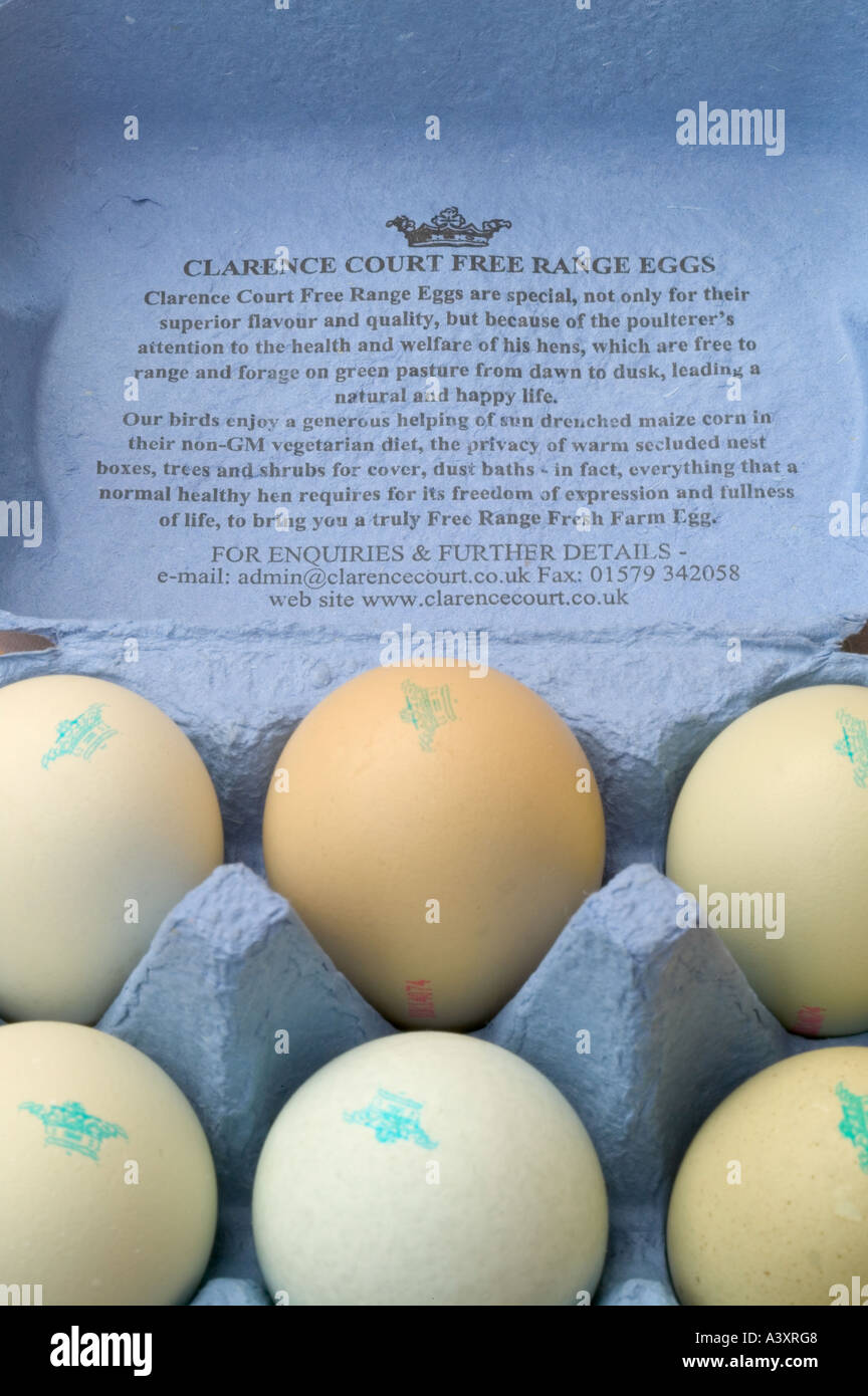 rare breed free range eggs from Old Cotswold Legbar chickens Stock ...