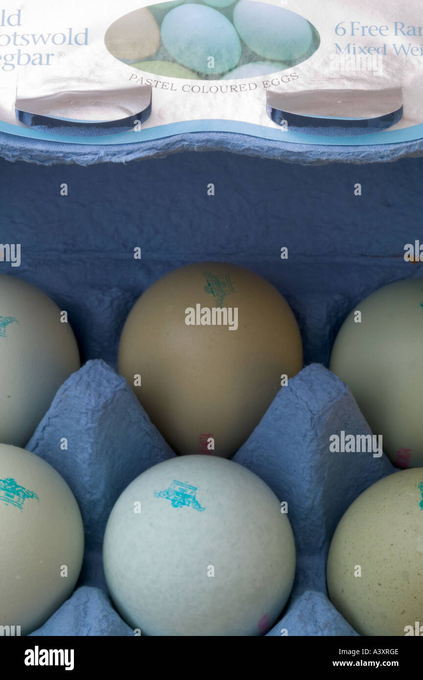 rare breed free range eggs from Old Cotswold Legbar chickens Stock ...