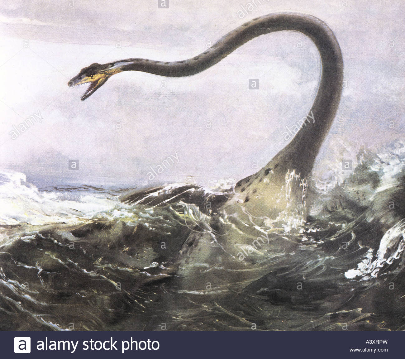 Aeon Stock Photos & Aeon Stock Images - Alamy