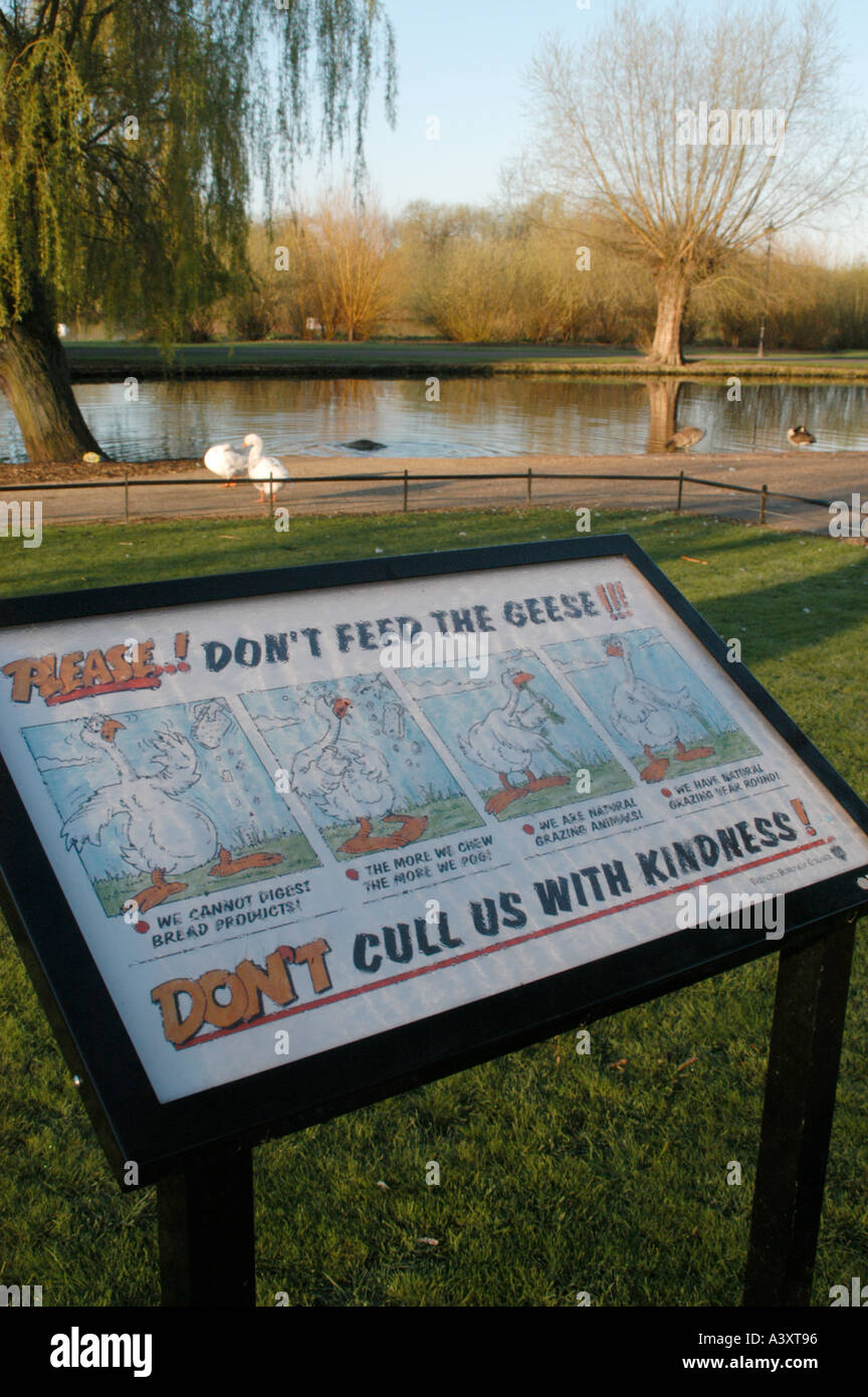 goose culling warning sign by river ouse uk Stock Photo - Alamy