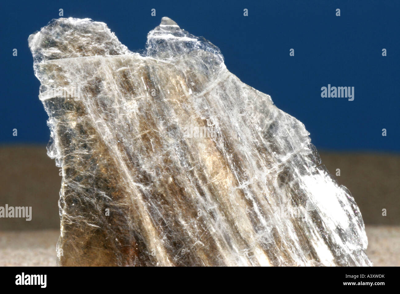 Muscovite hi-res stock photography and images - Alamy