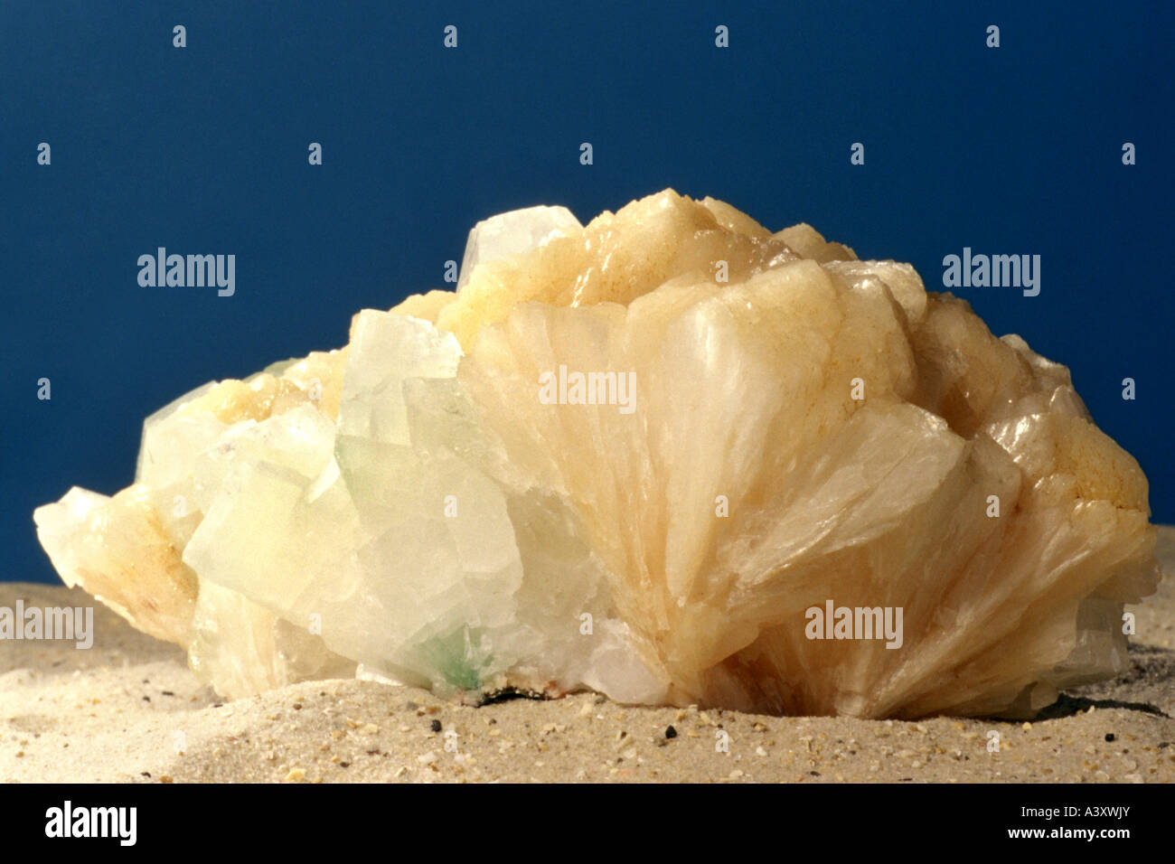 India poona hi-res stock photography and images - Alamy