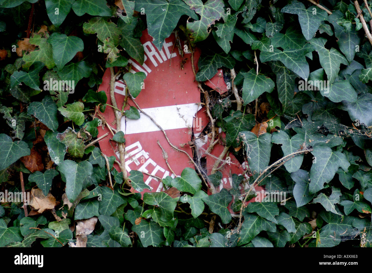 french no entrance sign covered in creeping ivy Stock Photo - Alamy