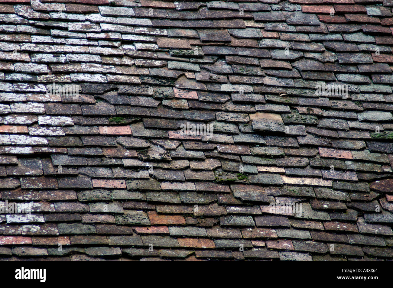 french 16th century roof pegged slates on old barn Stock Photo - Alamy