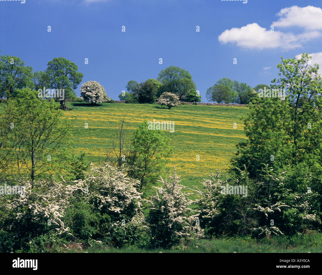 SPRING IN THE COTSWOLDS GLOUCESTERSHIRE ENGLAND UK Stock Photo - Alamy