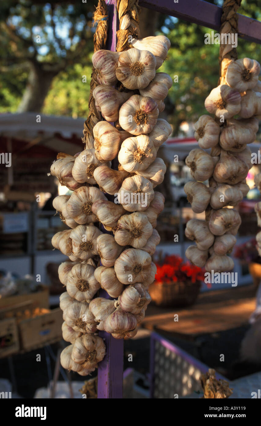 String of garlic at a food market in southwest France Stock Photo - Alamy