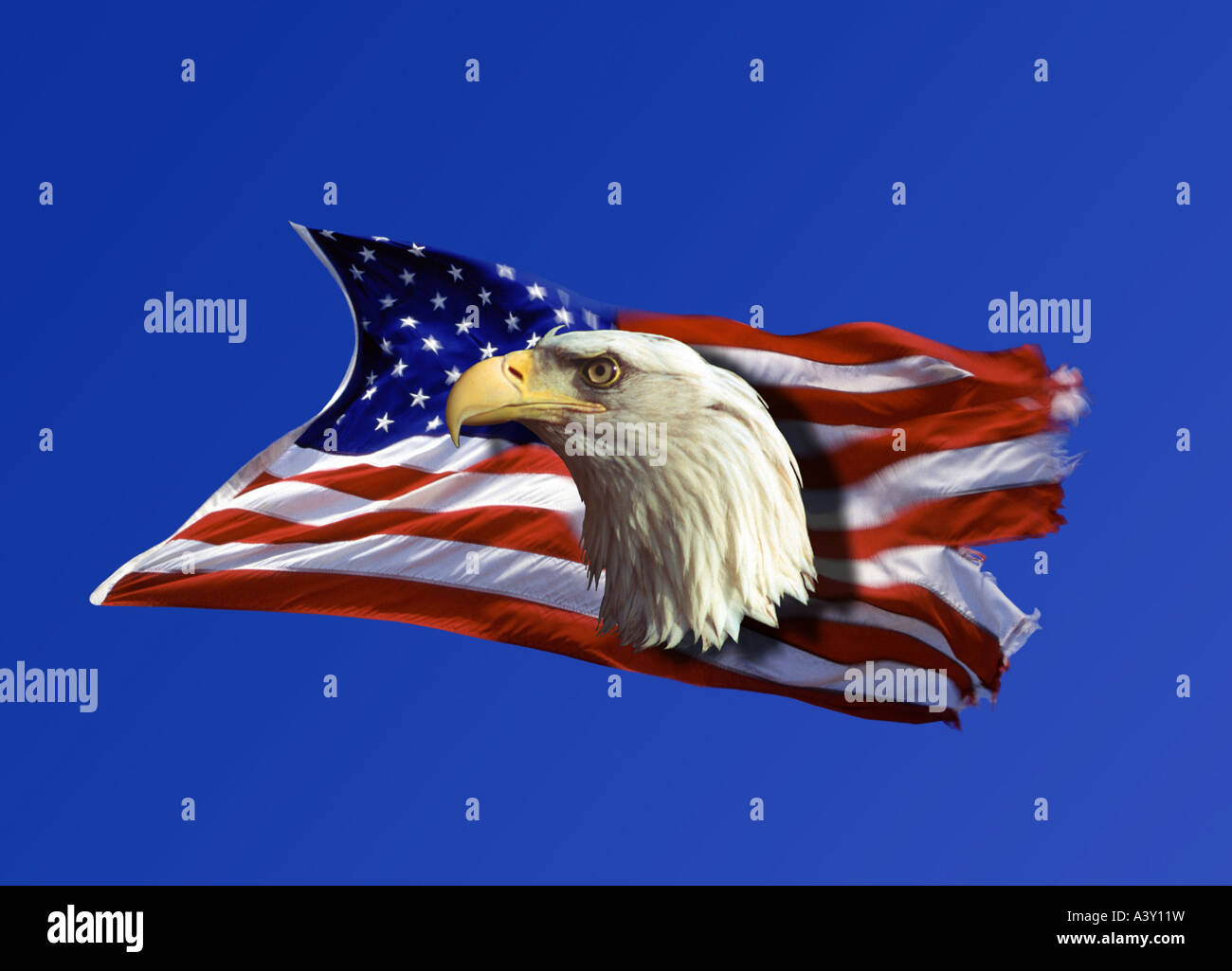 Eagleheads hi-res stock photography and images - Alamy