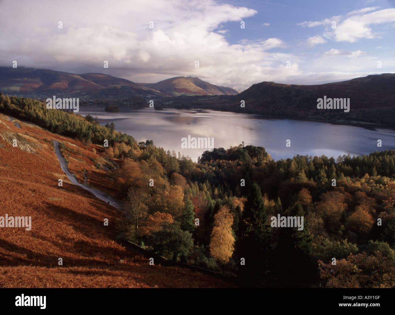 Manesty hi-res stock photography and images - Alamy