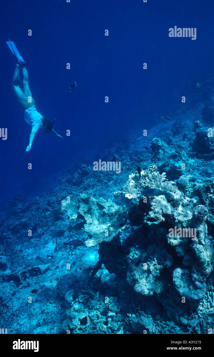 Woman snorkeller diving on coral reef slope in the Maldives, Indian ...