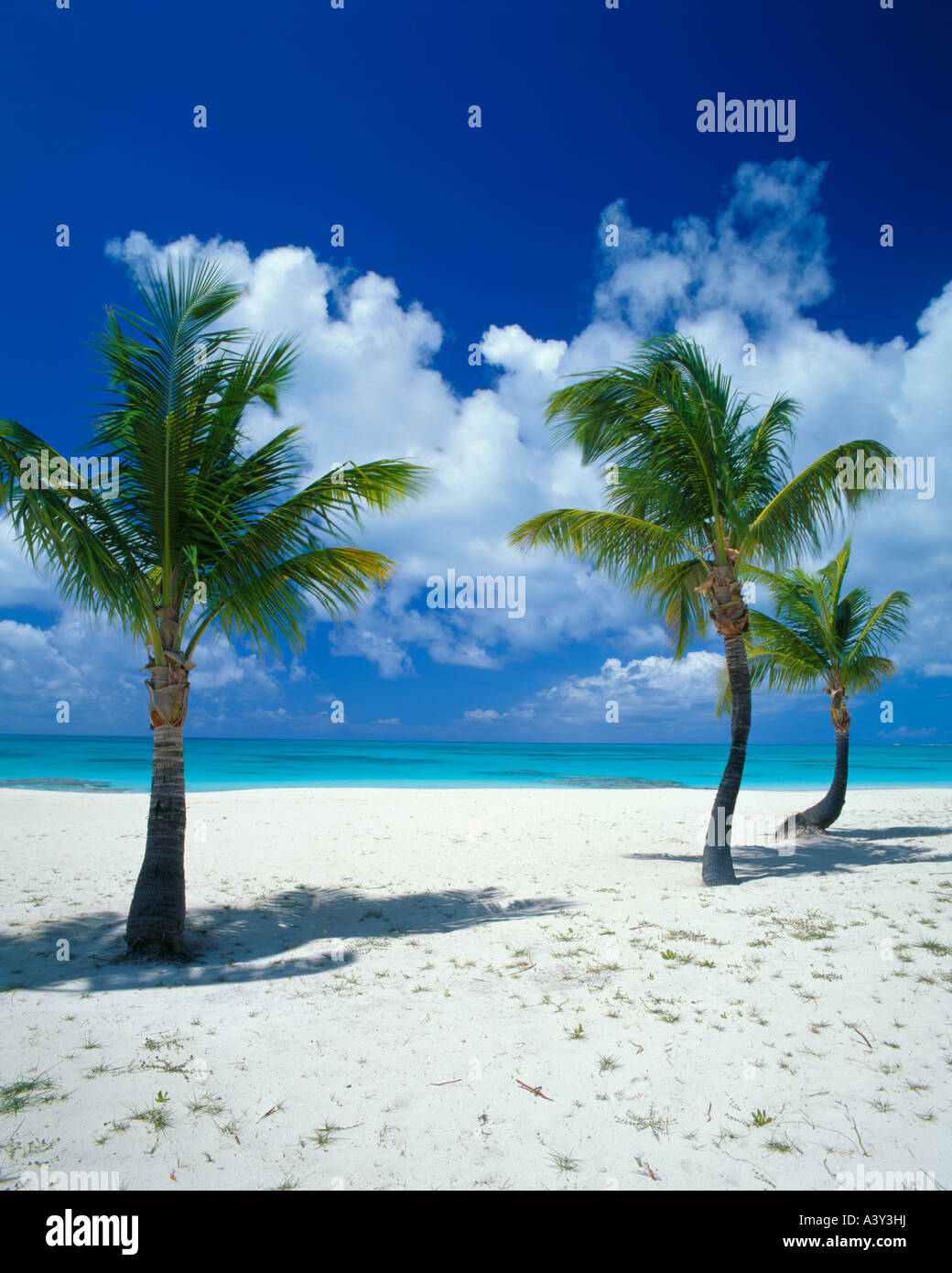Coco point beach barbuda hi-res stock photography and images - Alamy