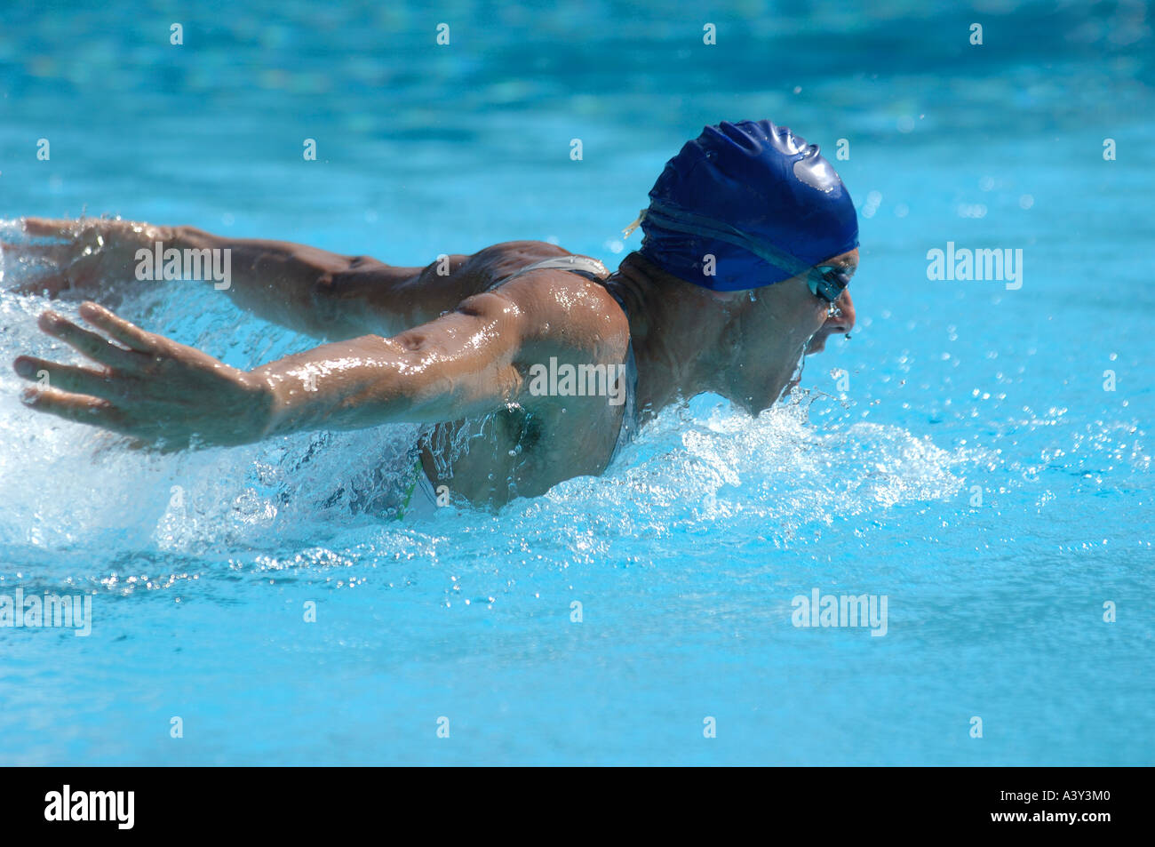 Male Swimmer Swimming Butterfly Stock Photo - Alamy