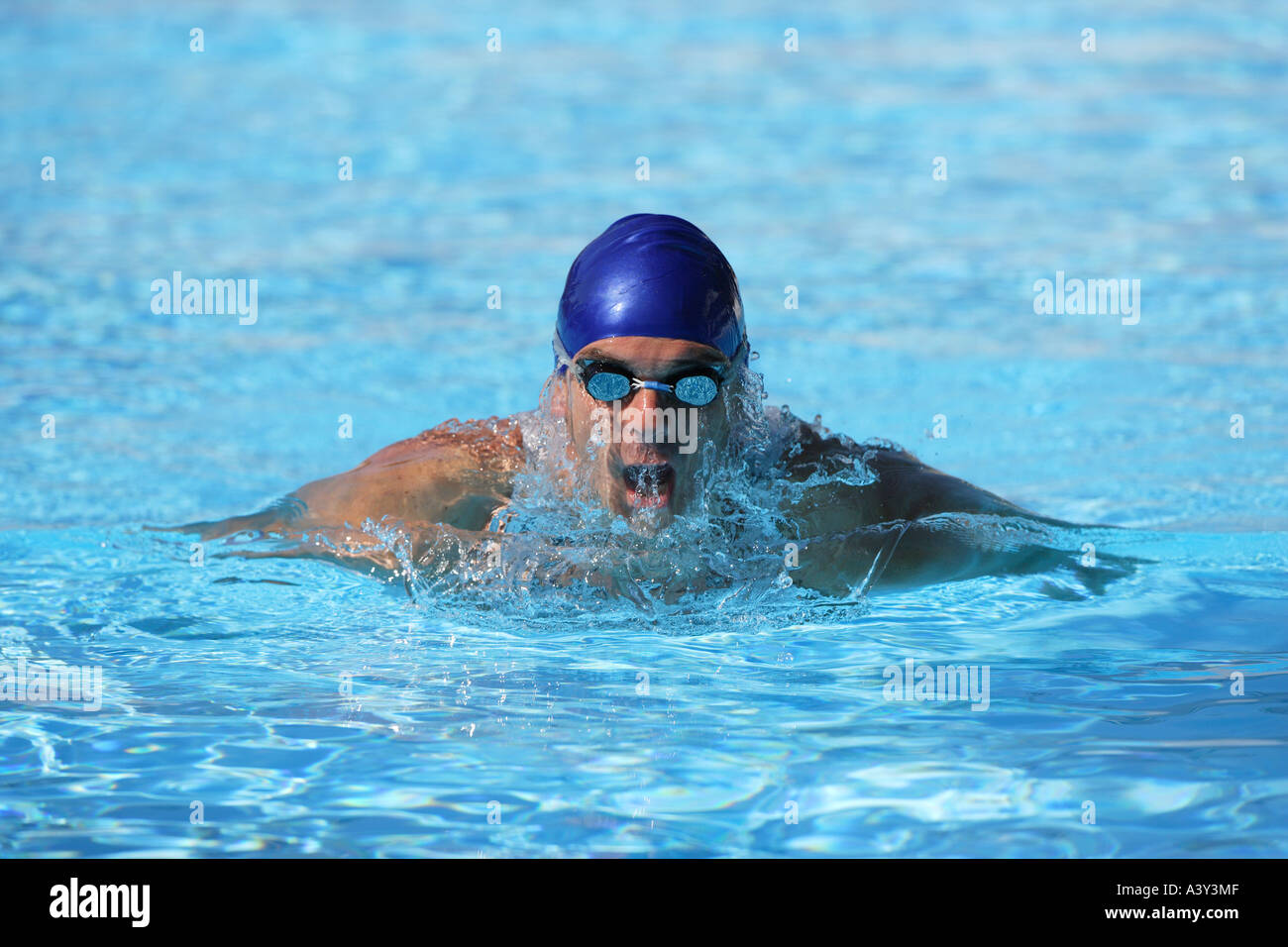 Male Swimmer Swimming Butterfly Stock Photo - Alamy