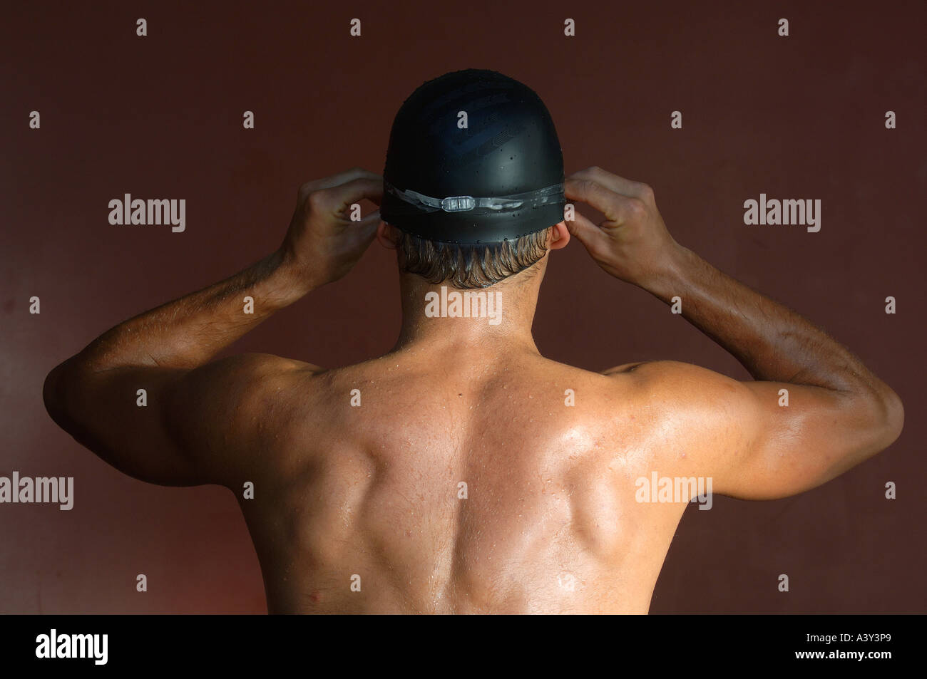 Back of a Male Swimmer Stock Photo - Alamy