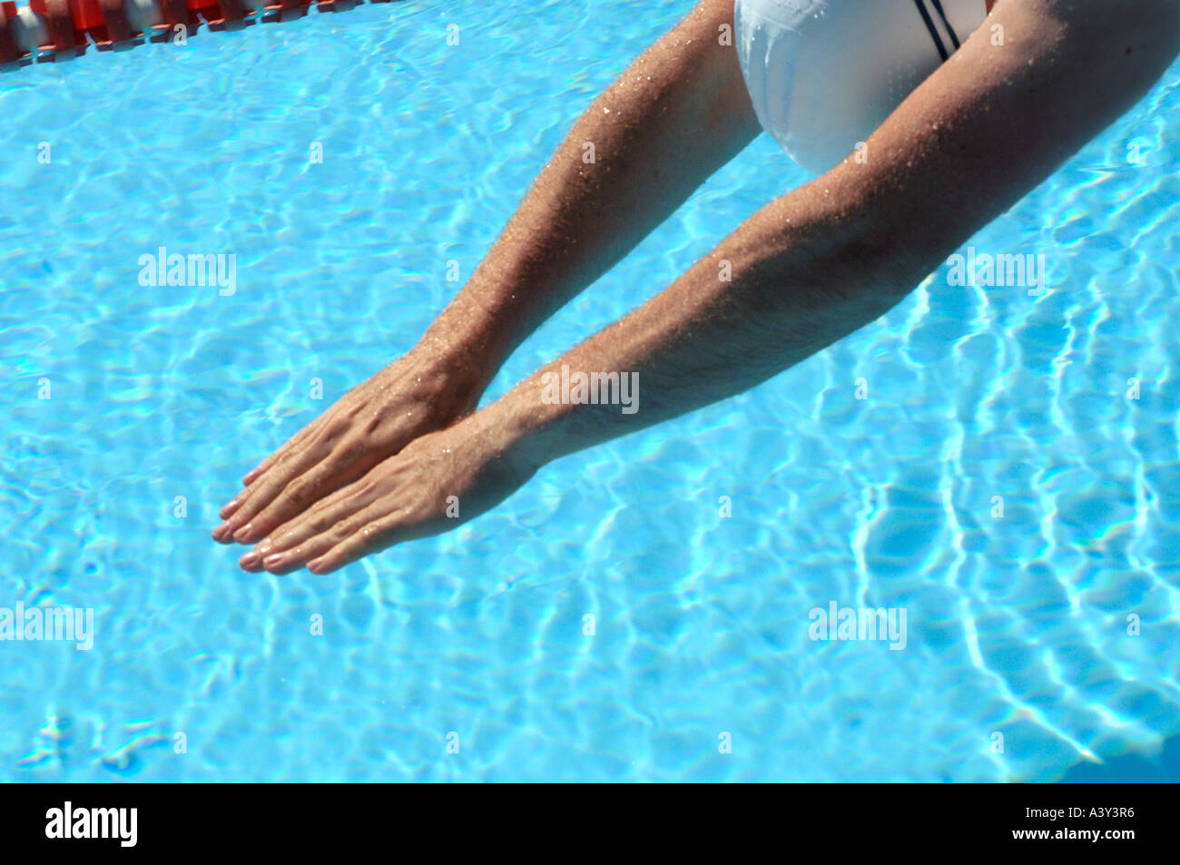 Hands of Male Swimmer Diving Stock Photo - Alamy