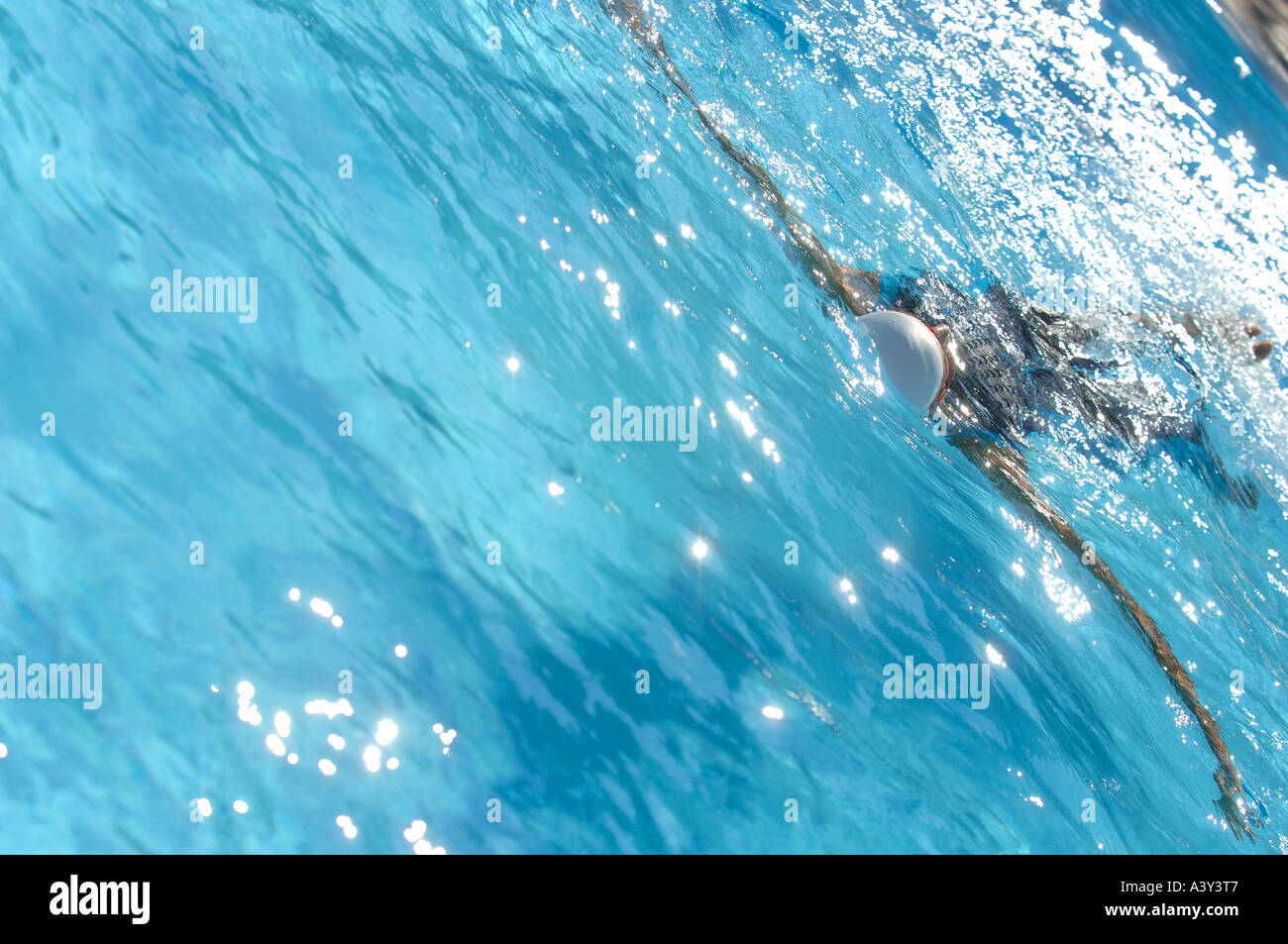 High Angle View of Female Swimmer Swimming Backstroke Stock Photo - Alamy
