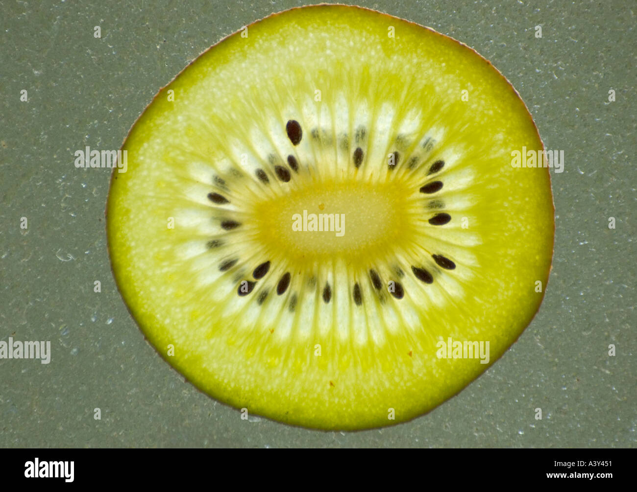 Kiwi Fruit slice Stock Photo - Alamy