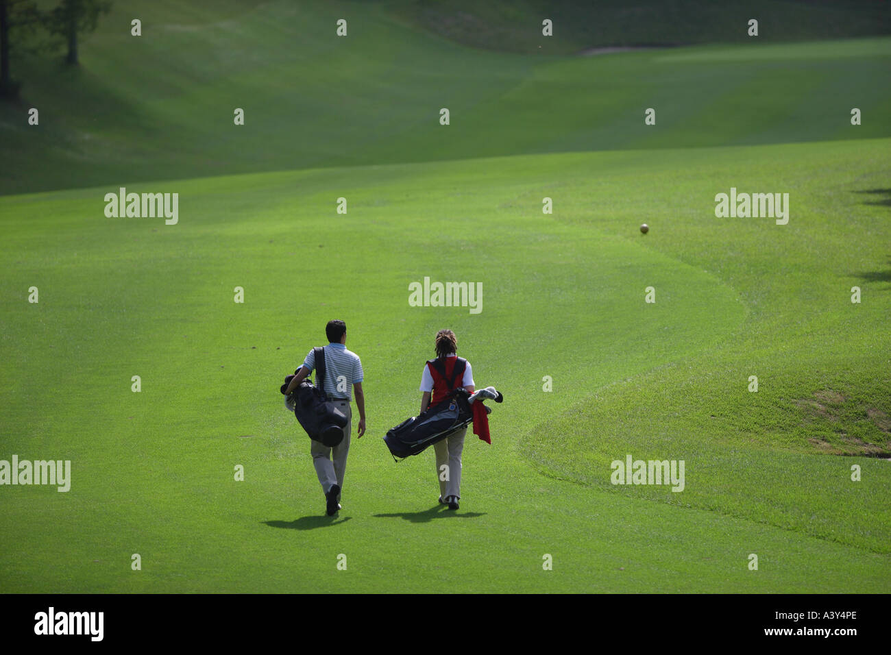 Golfers walking down golf hi-res stock photography and images - Alamy