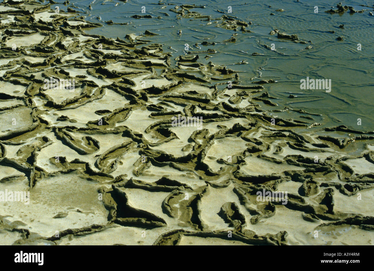 cracks in mud, France, Camargue Stock Photo - Alamy