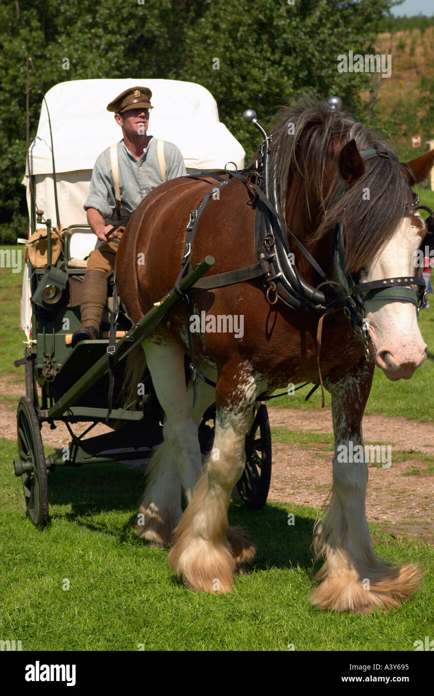 First horse drawn ambulance hi-res stock photography and images - Alamy