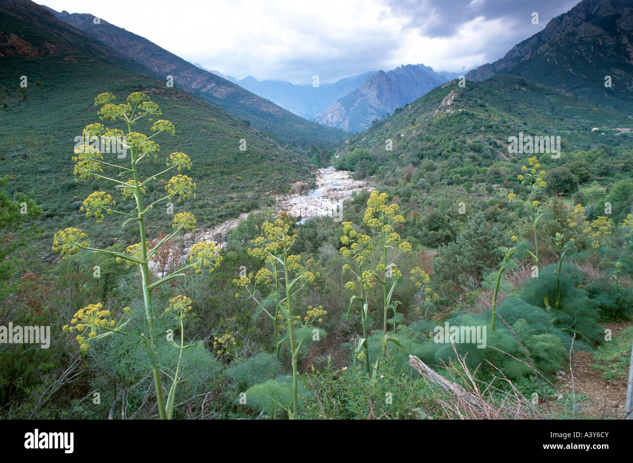 Fango Valley Corsica Stock Photos & Fango Valley Corsica Stock Images ...