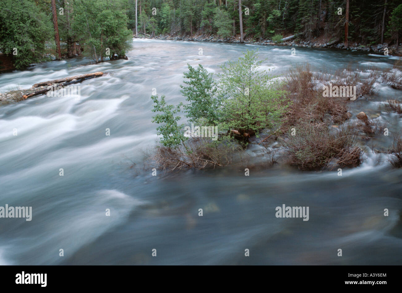 Kings river hi-res stock photography and images - Alamy