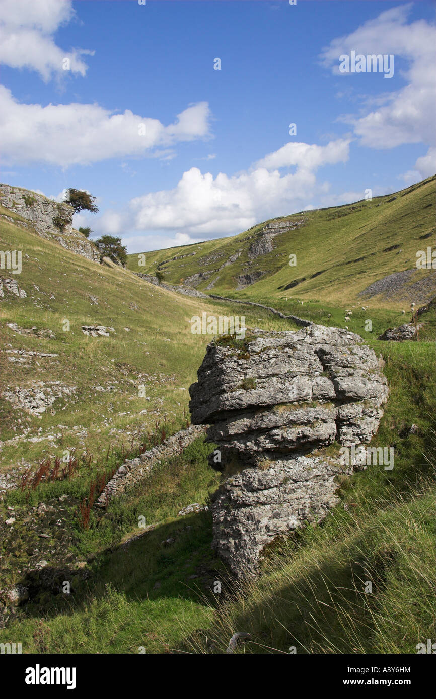 Cressbrook Dale, Peak District National Park, Derbyshire, England Stock ...