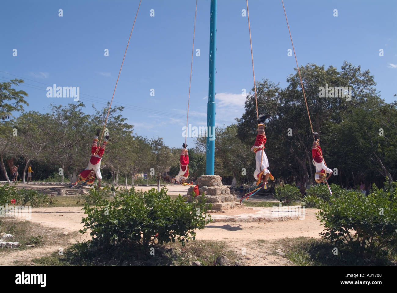 Mayan male performers hanging at bottom of pole Riviera Maya Mexico ...