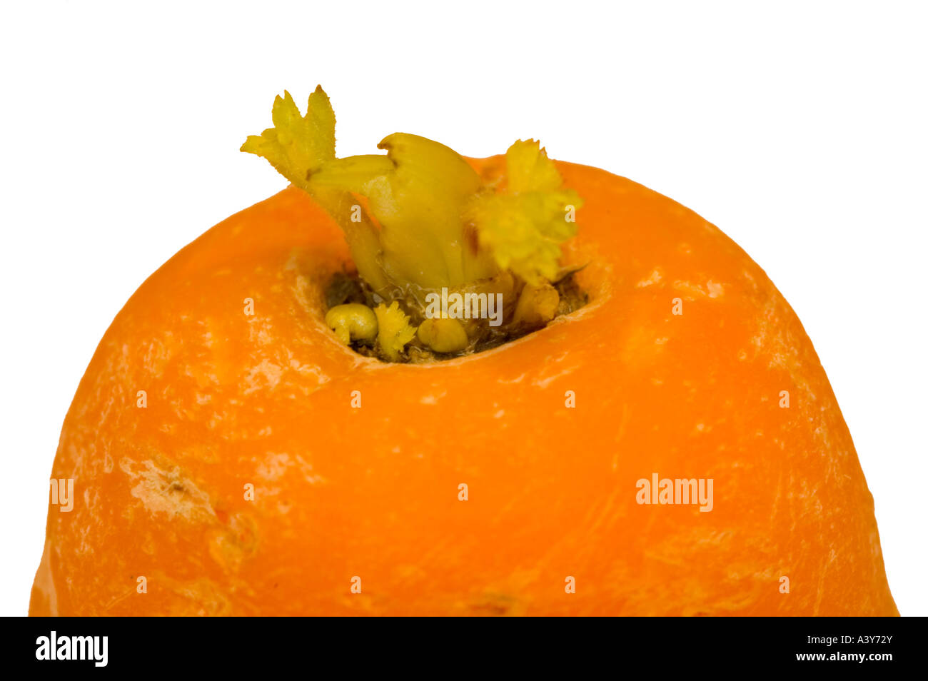 Carrot top hi-res stock photography and images - Alamy