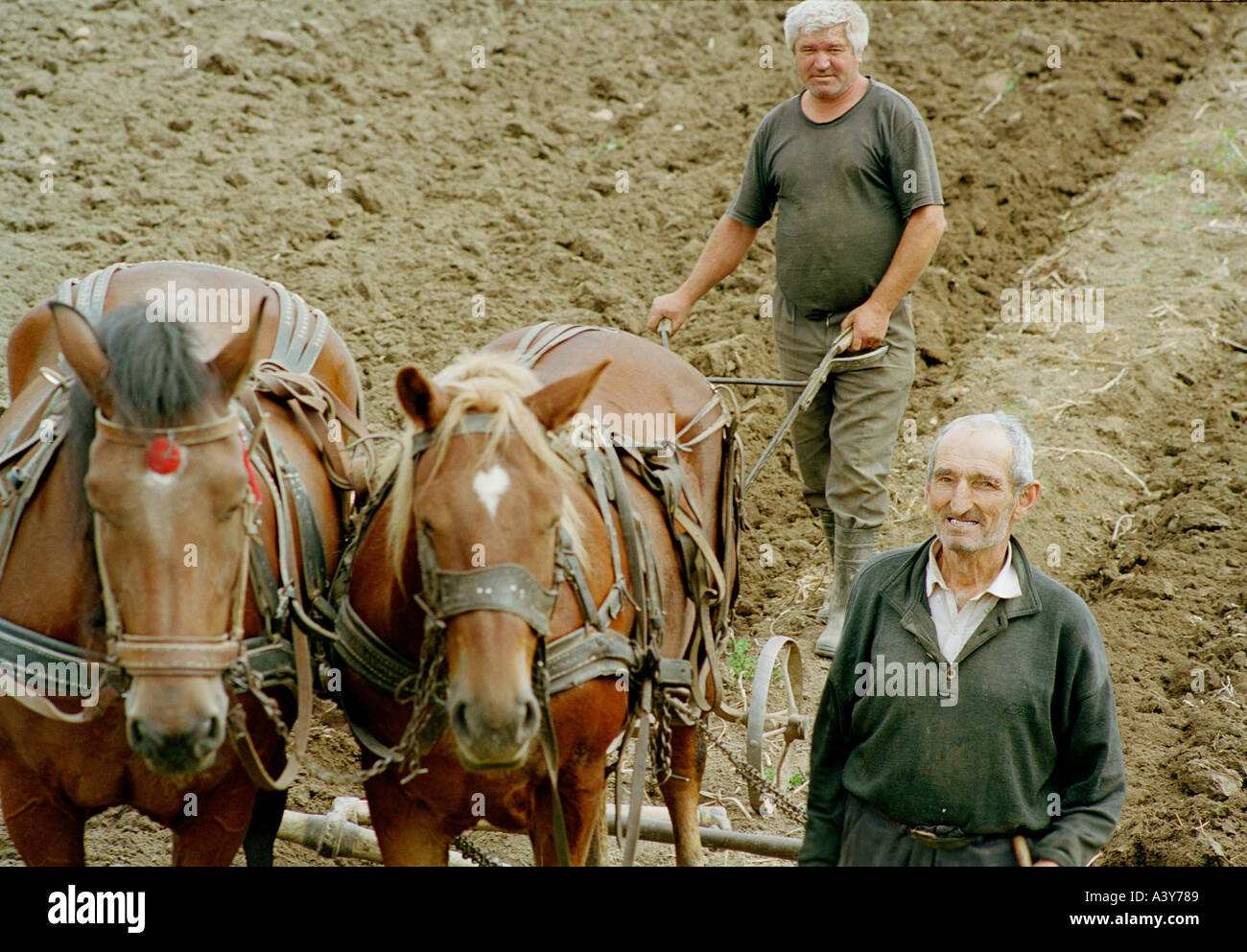men ploughing a field in Romania using a hosre-drawn plough Stock Photo ...