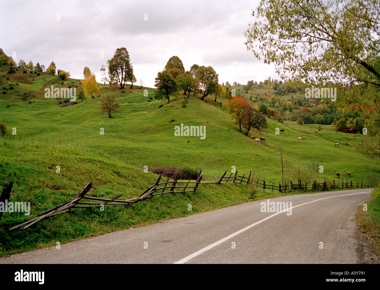 road and hill in transylvania romania Stock Photo - Alamy