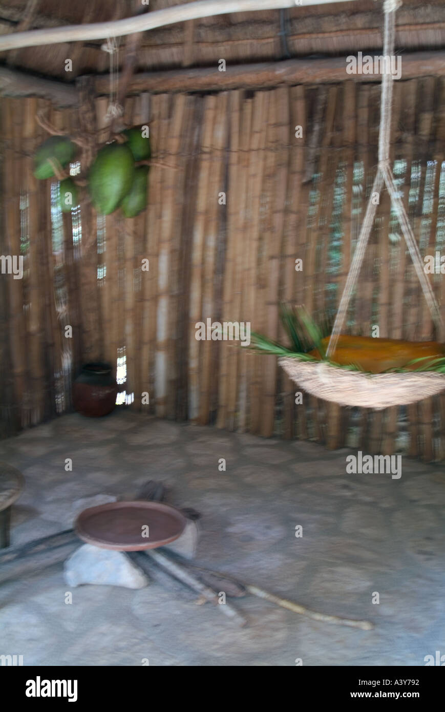 Mayan House Architecture