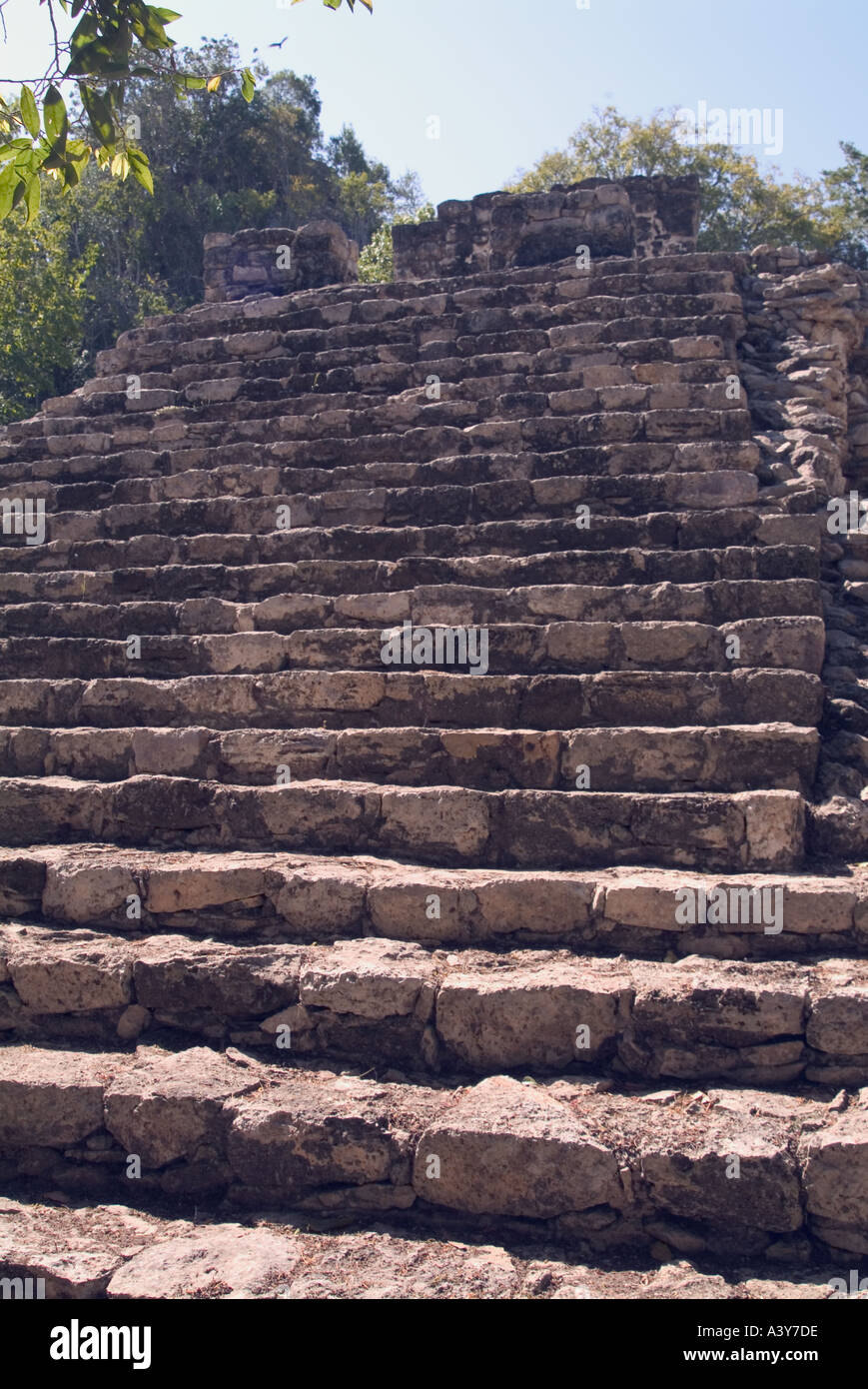 Mayan ruins stone stairway Riviera Maya Stock Photo - Alamy