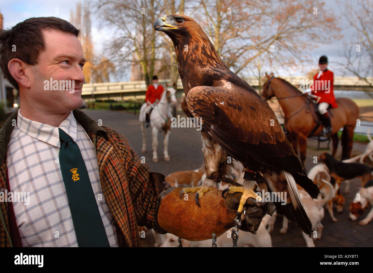 FALCONER IAN HURLEY WITH THE GOLDEN EAGLE USED TO HUNT FOXES WITH THE ...