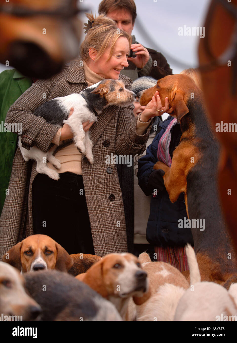 Hunt terrier hi-res stock photography and images - Alamy