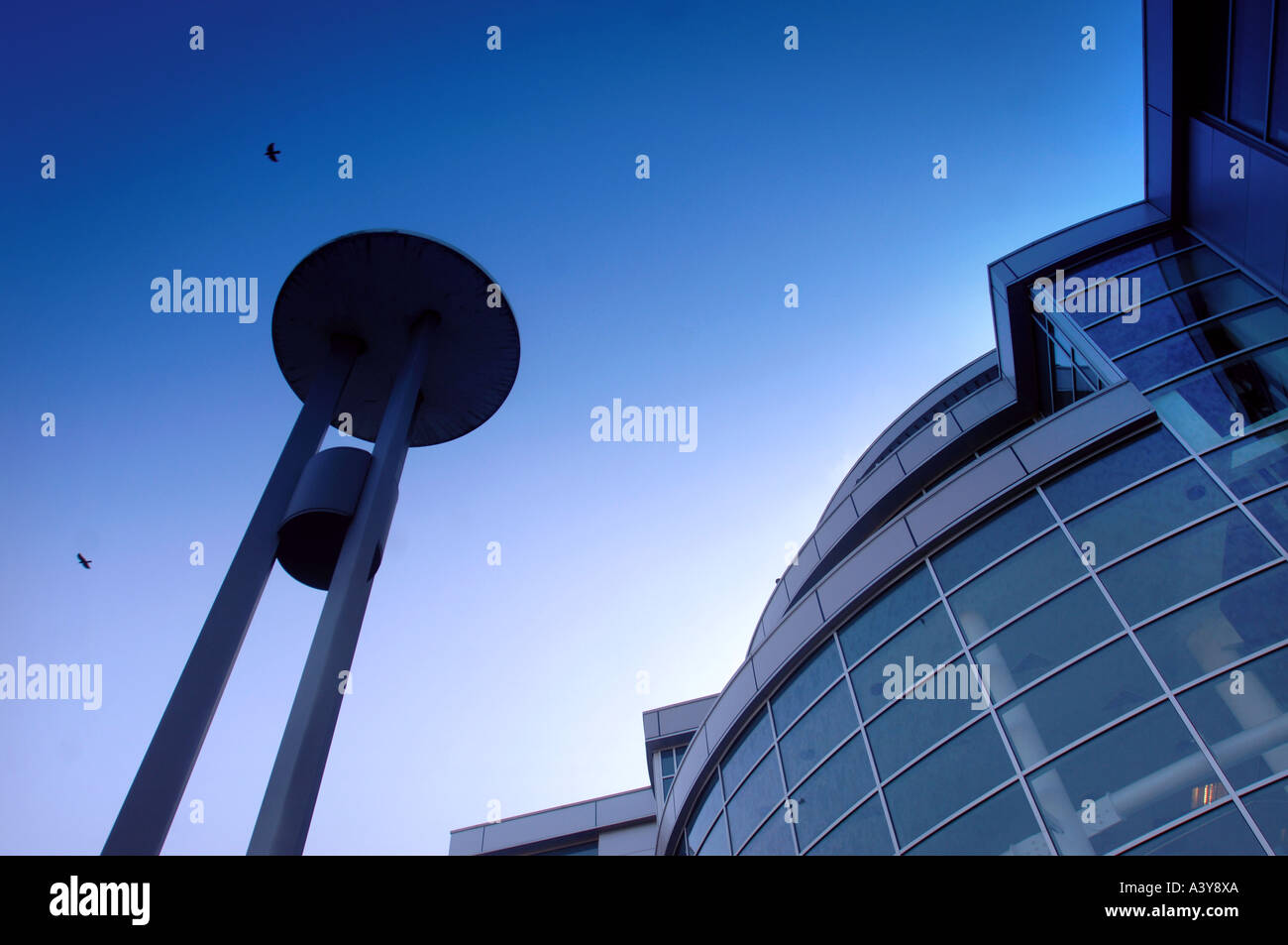 THE SKYLINE OF A MODERN OFFICE BLOCK UK WITH BIRDS FLYING OVERHEAD ...