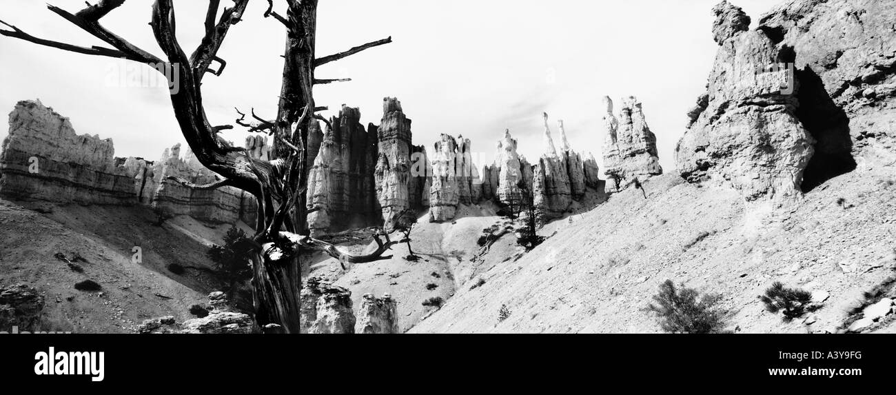 Landscape inside Bryce canyon, Utah, USA Stock Photo - Alamy