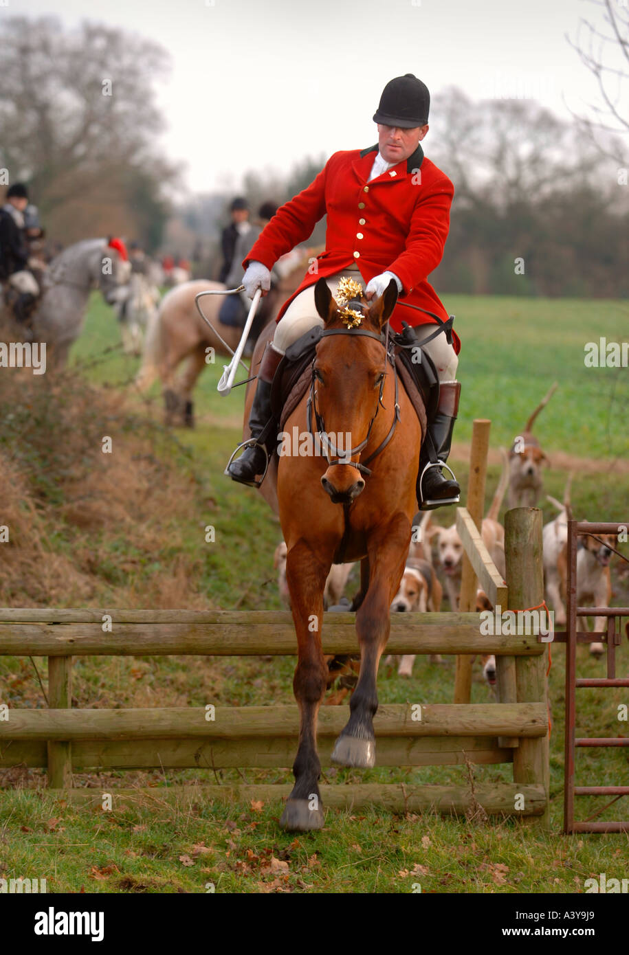 THE FIELD HUNTSMAN WITH THE CROOME AND WEST WARWICK Stock Photo - Alamy
