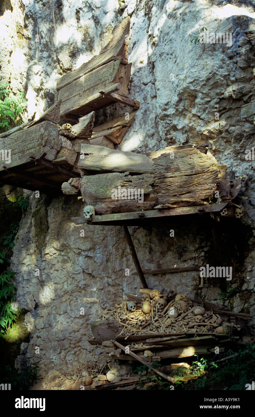 graveyard and cliff tombs of village toraja land island of sulawesi ...