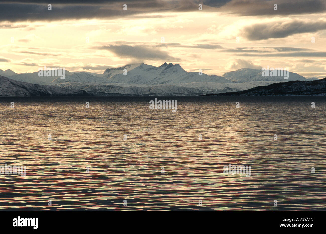 Tysfjord hi-res stock photography and images - Alamy