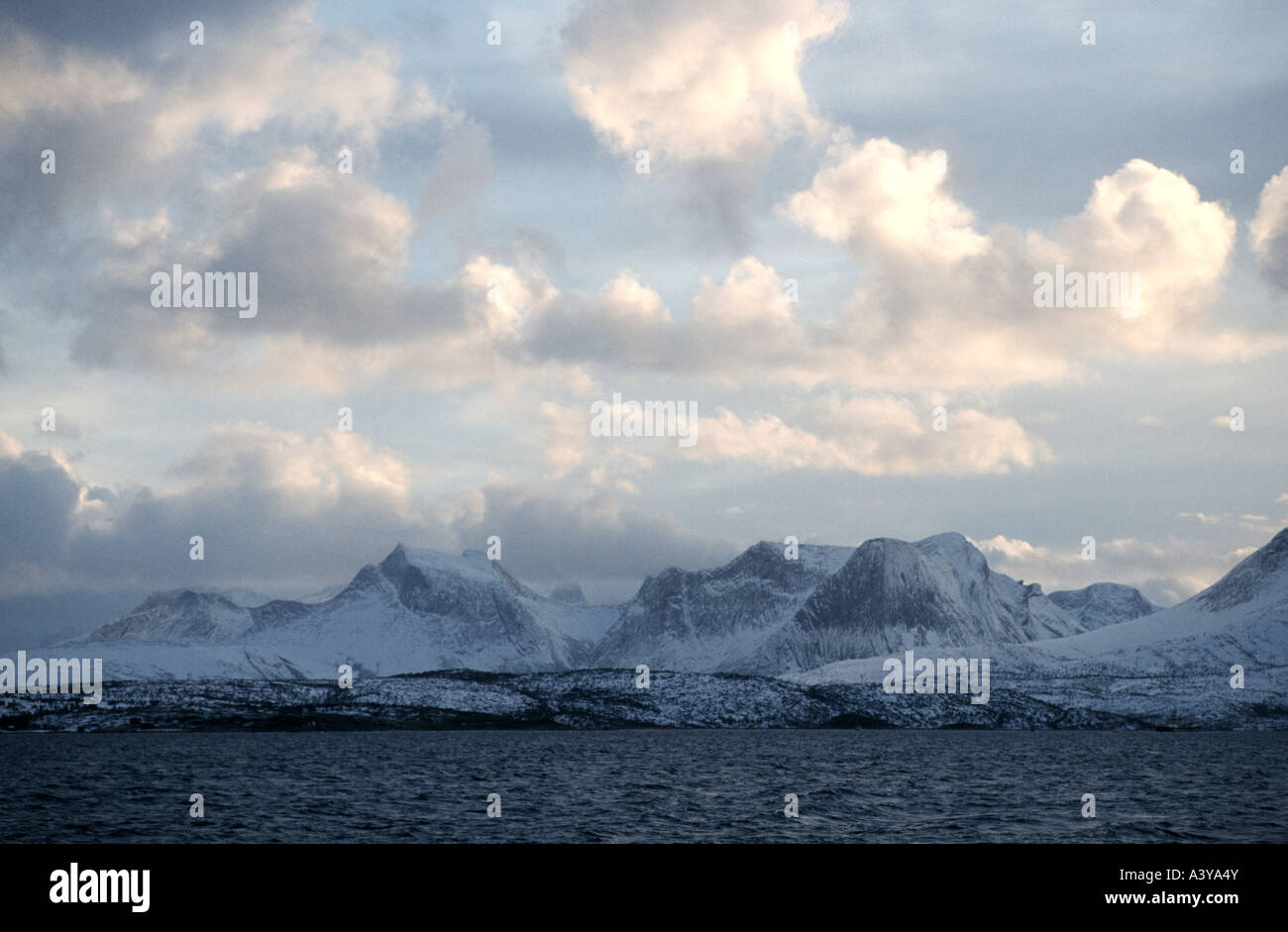 winter at the Tysfjord, Norway, Tysfjord, Narvik Stock Photo - Alamy
