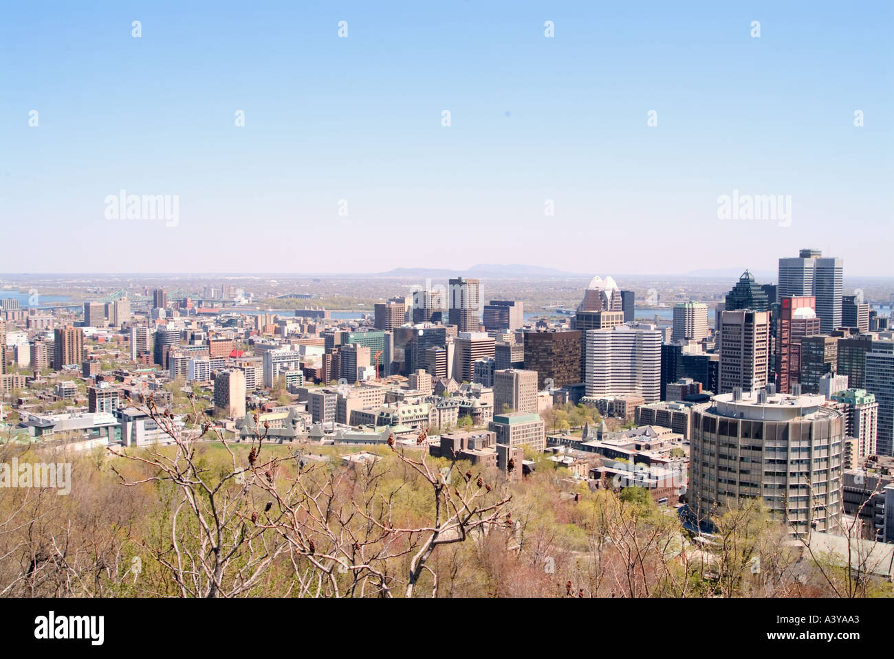 Downtown Montreal skyline view from Mount Royal Montreal Canada North ...