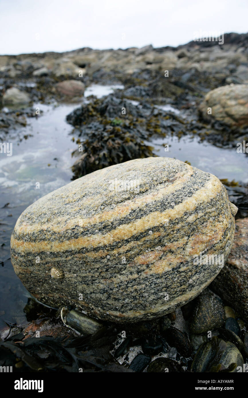 Striped gneiss rocks on beach in the outer Hebrides, Scotland Stock ...