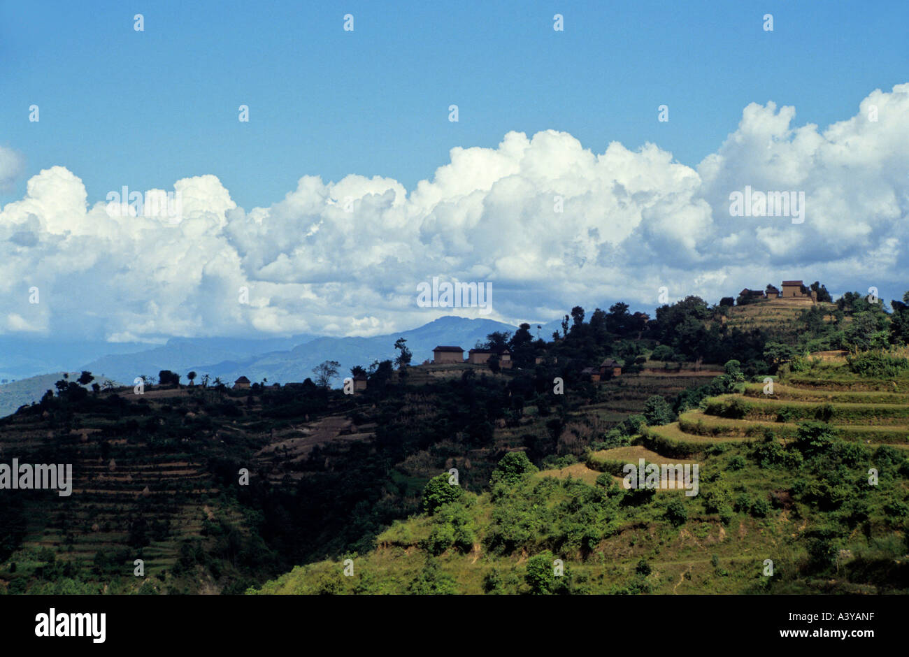 mountain terracing near village of dhulikhel kathmandu valley nepal ...
