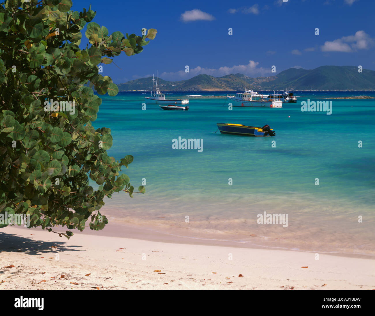 Blowing point anguilla hi-res stock photography and images - Alamy