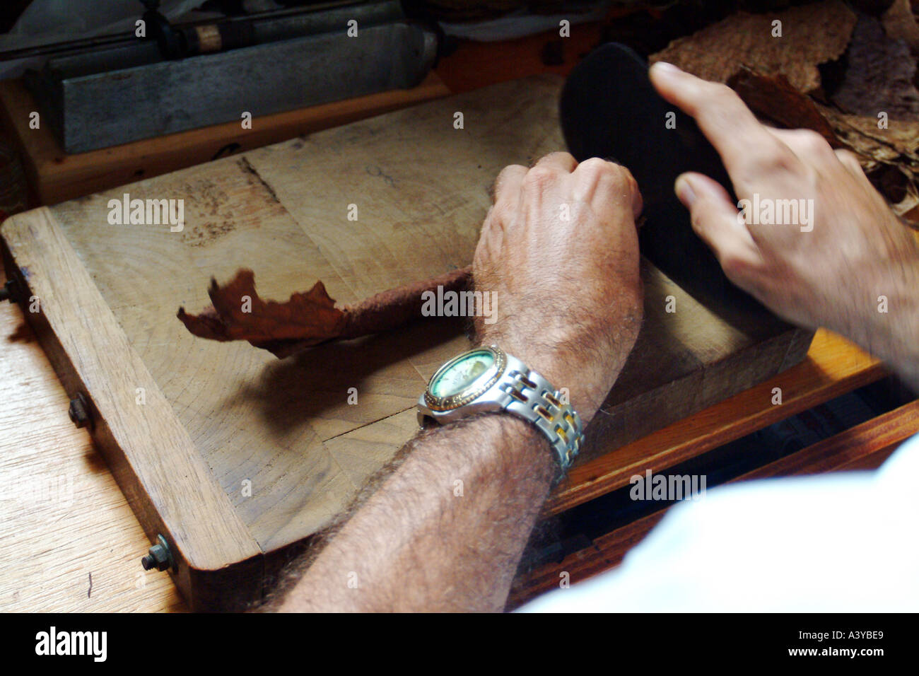 cigar maker Stock Photo - Alamy
