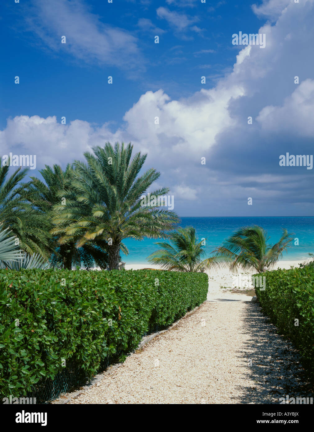 Anguilla British West Indies: A hibiscus hedge borders a pathway to a ...